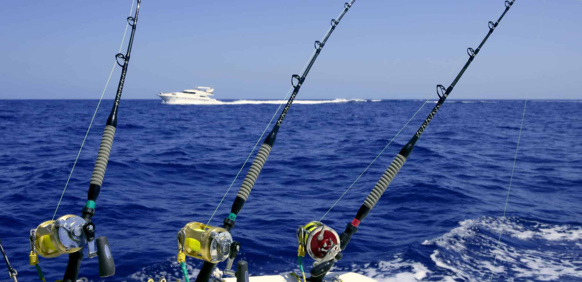 Tourism Businesses - Kona Impact